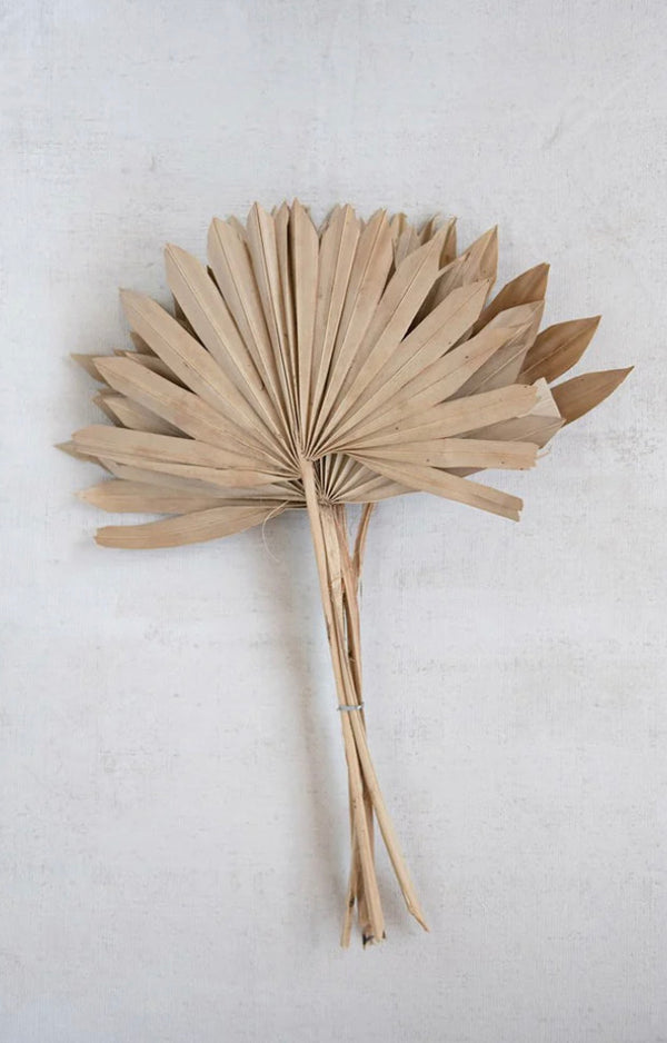 Dried Natural Palm Bunch - Tampa Bay Interiors